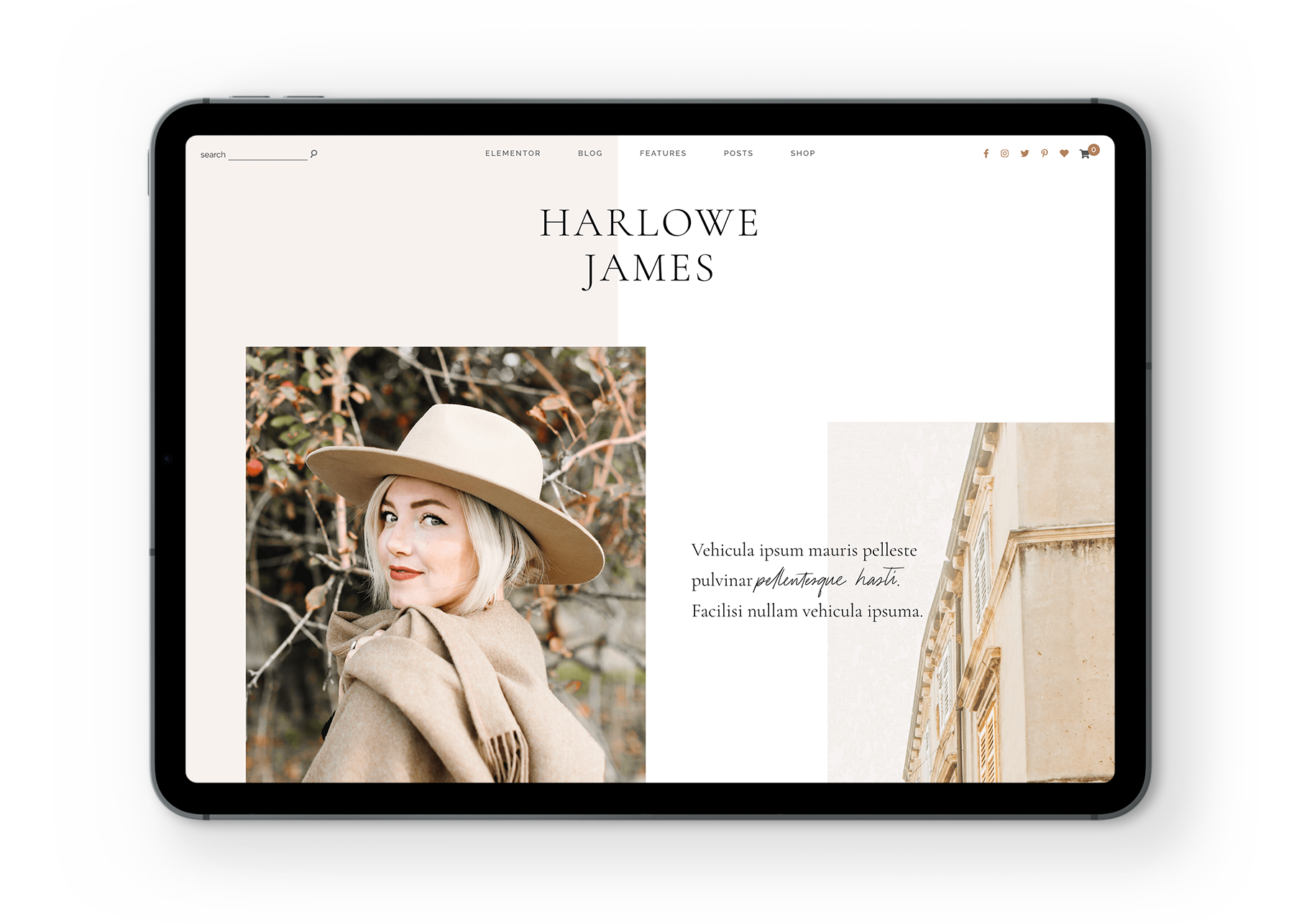 20 Website Templates That Will Give You All The Feels - K Design Co.